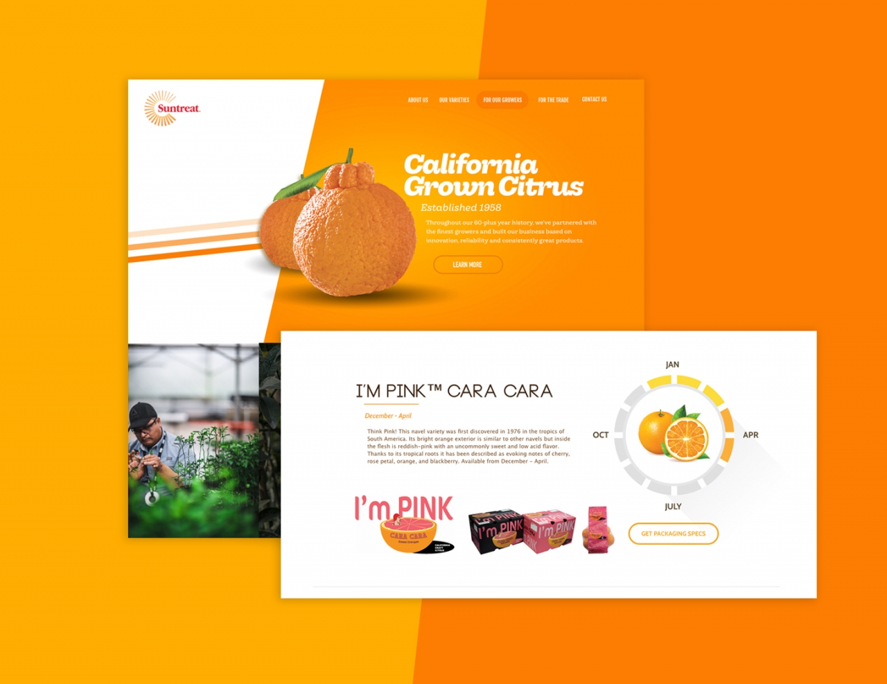 Web - Fluxar Studios, Inc - Bakersfield, CA